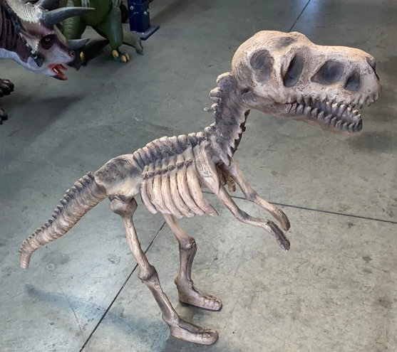Foundry Select Syndney Baby T-Rex Dinosaur Skeleton Life Size Statue ...