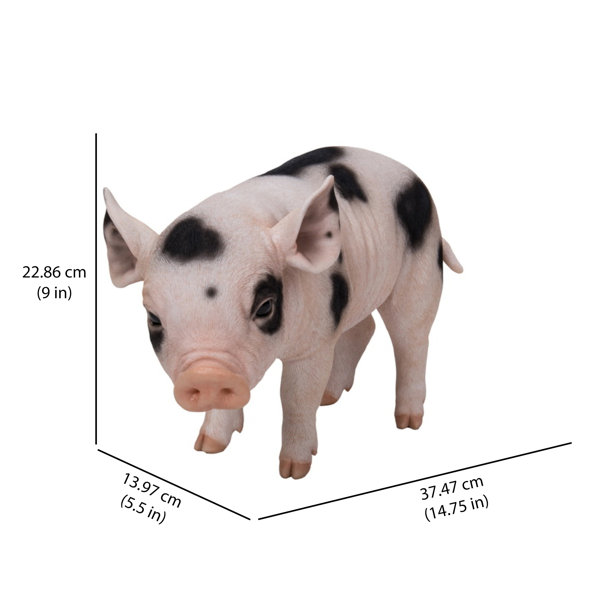 Hi-Line Gift Ltd. Standing Baby Pig Statue & Reviews | Wayfair