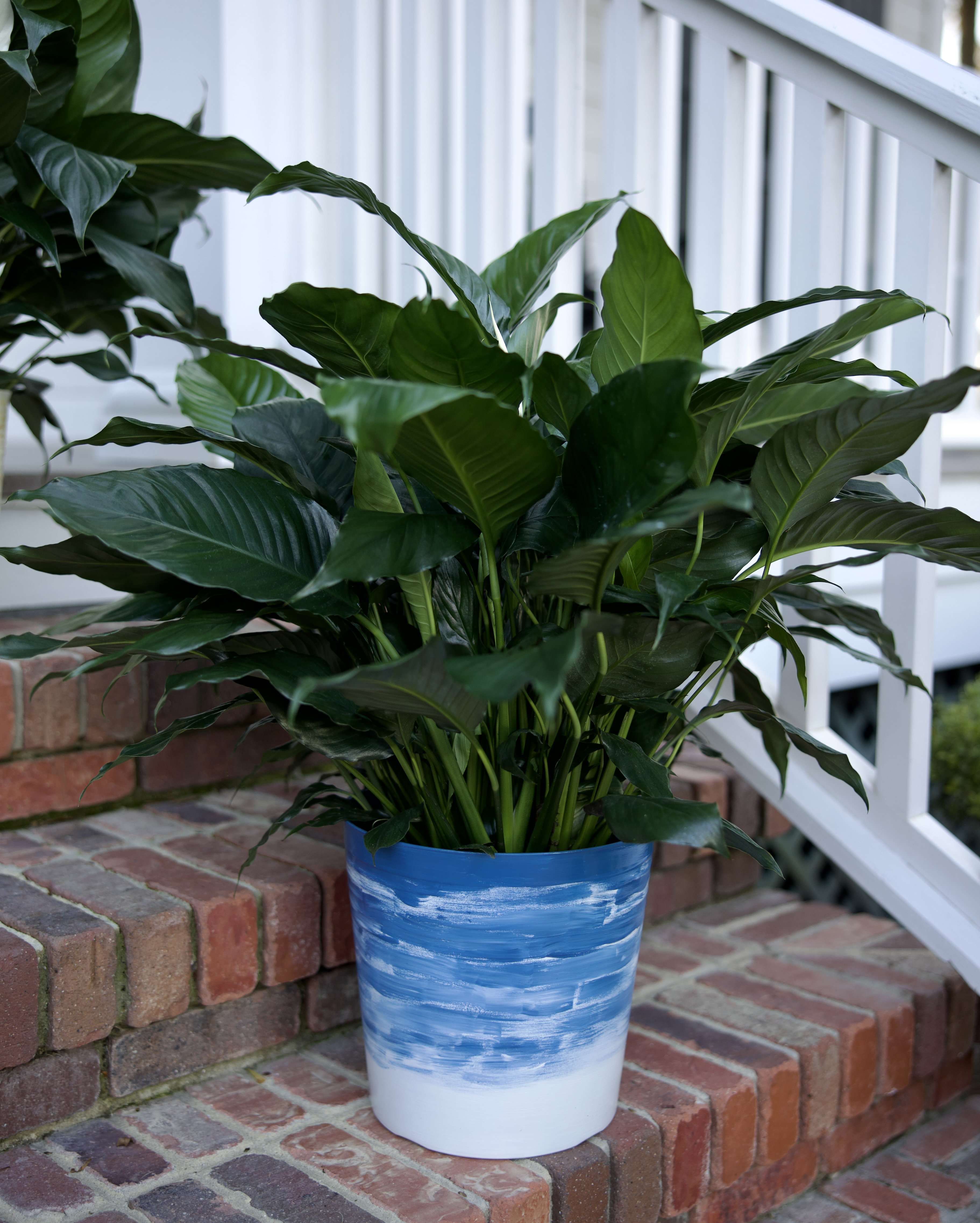 Friendship Foliage Hand Painted Large Sturdy Plastic Pot Planter | Wayfair