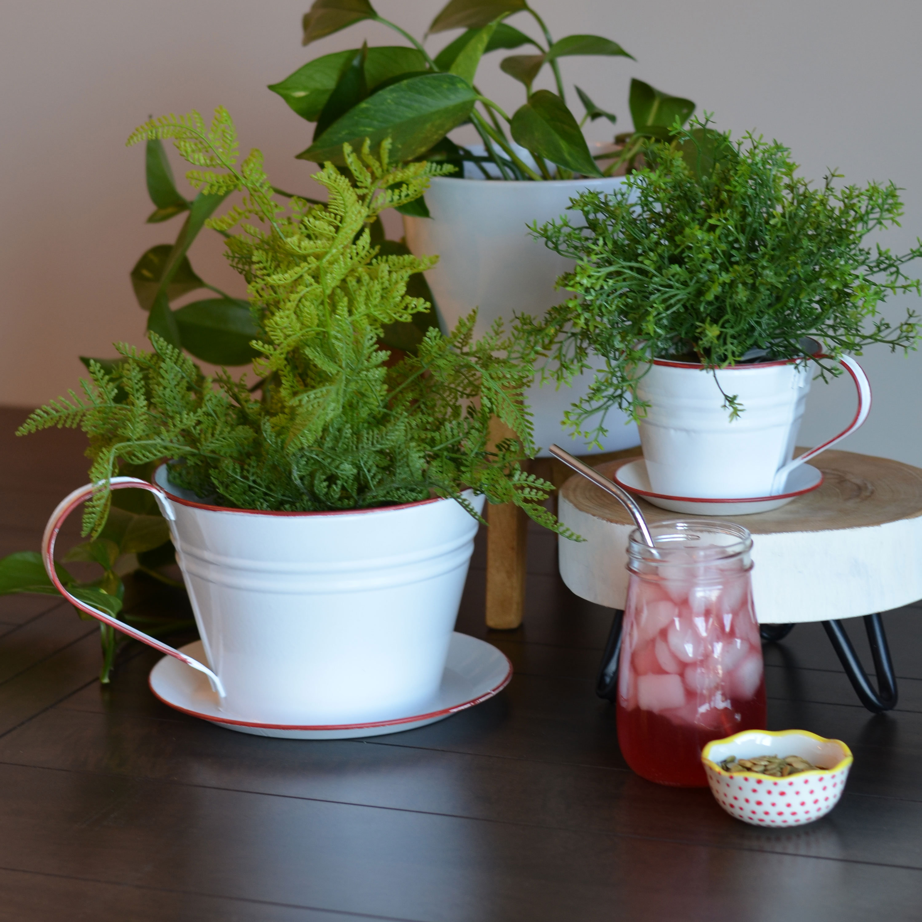 August Grove® 2 Piece Zinc Tea Cup Planter Set - Wayfair Canada