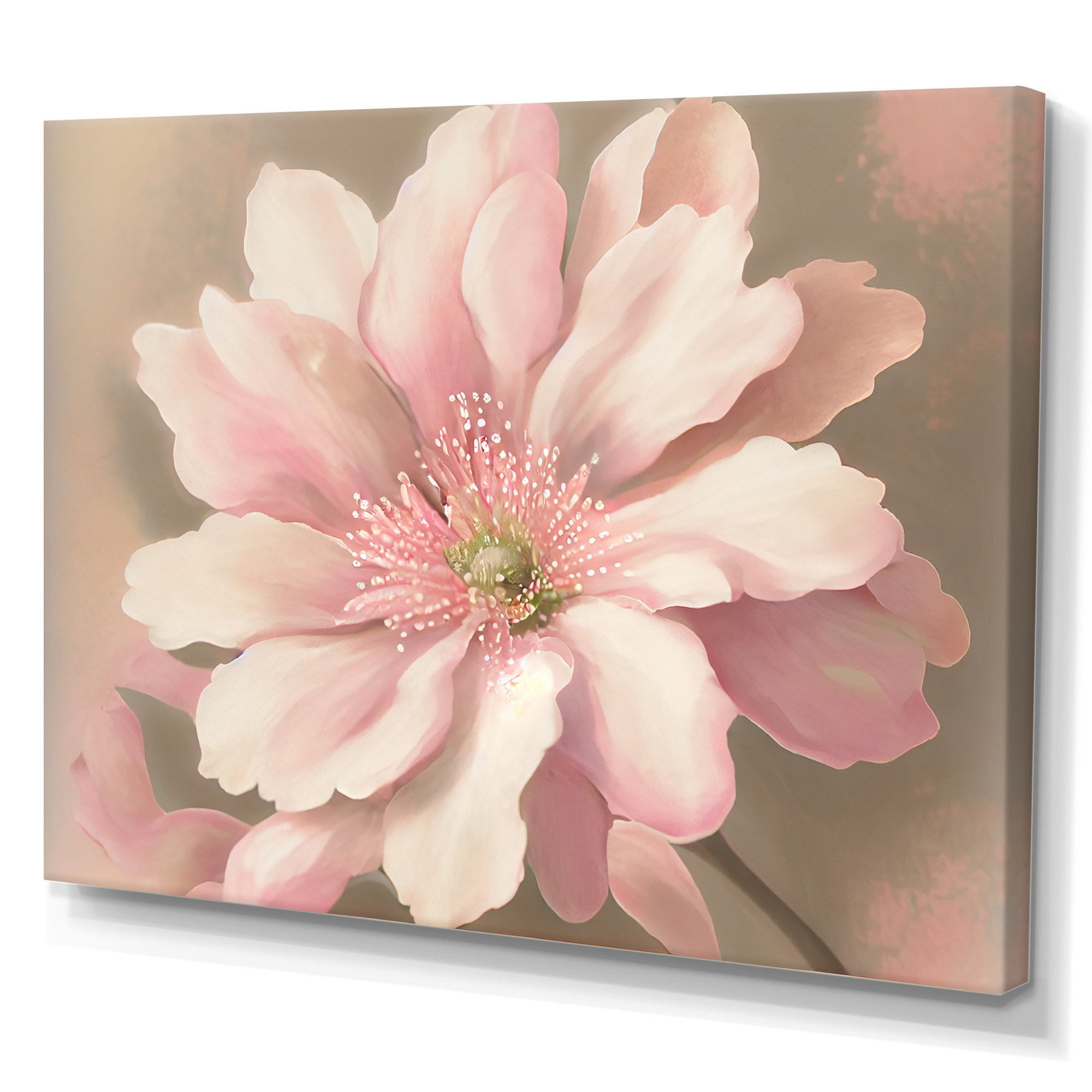Lark Manor™ Anca Blossoming Pink Flower in Faded Retro Colors II ...
