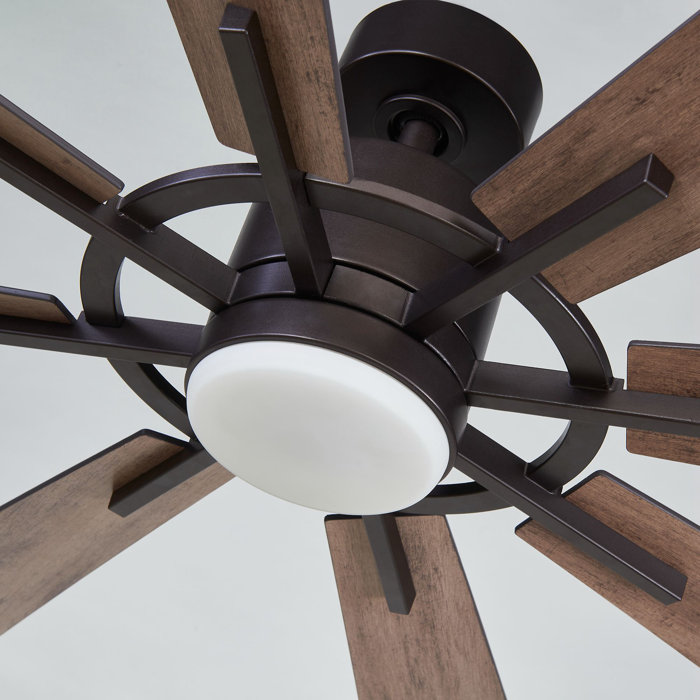 Steelside™ Lisa 60'' Ceiling Fan with LED Lights & Reviews | Wayfair