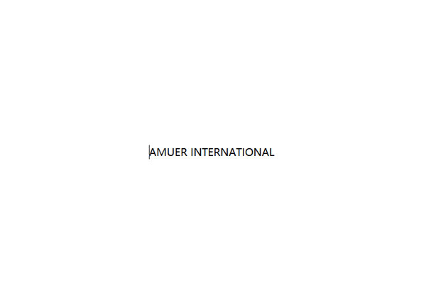 AMUER INTERNATIONAL | Wayfair