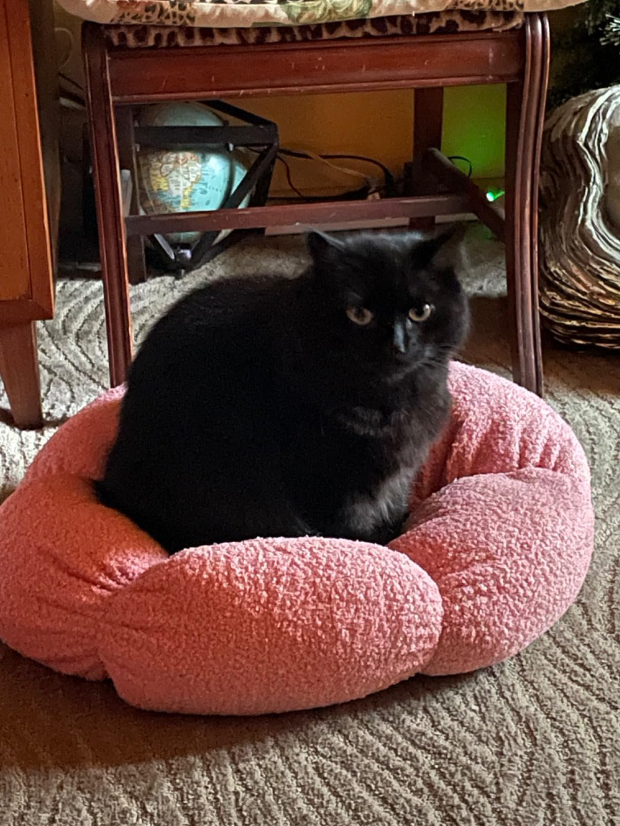 Tucker Murphy Pet™ Pink Calming Dog Beds Fluffy Flower Pet Bed in Plush ...