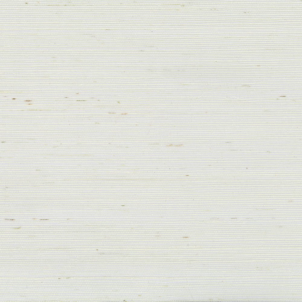 Laurel Foundry Modern Farmhouse Greater Taree Grass Cloth Roll ...