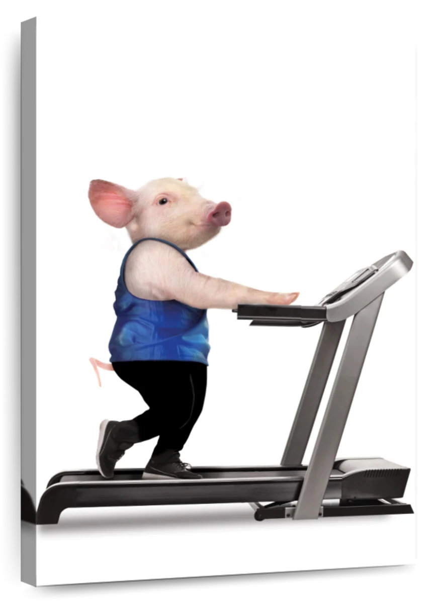 Trinx Pig On Treadmill | Wayfair