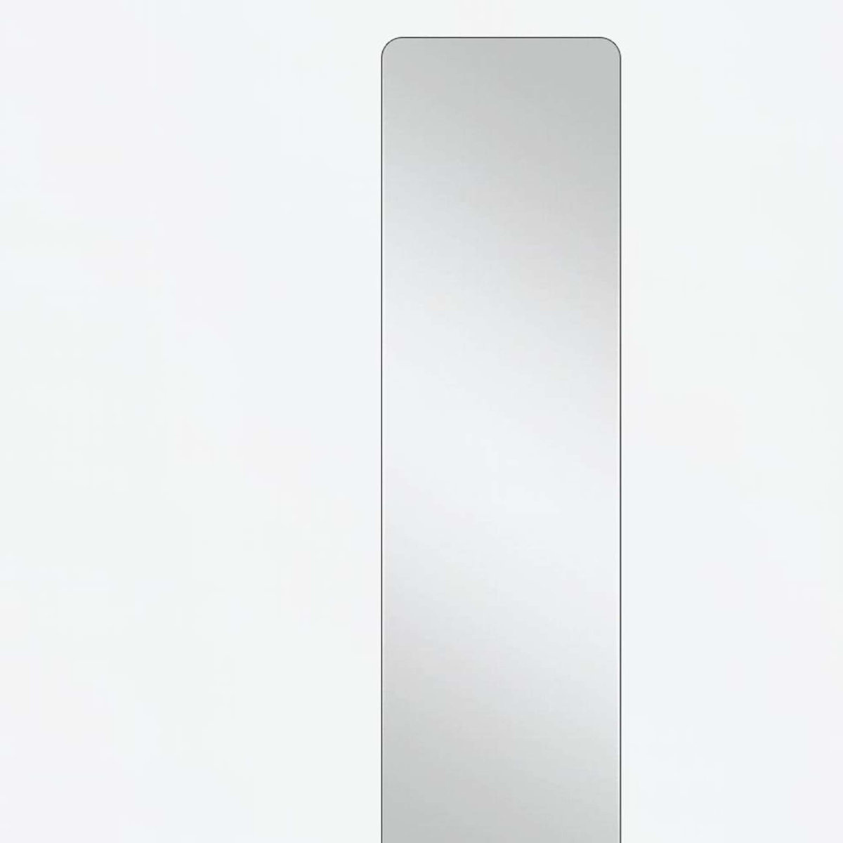 Ivy Bronx 60x15inch Full Body Mirror for Living Room Bedroom Cloakroom ...