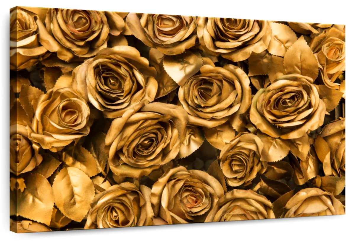 Lark Manor Harnek Bed Of Golden Roses - Wayfair Canada