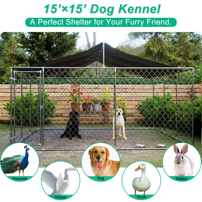 Thanaddo Metal Yard Dog Kennel With Canopy and Lockable Door & Reviews ...