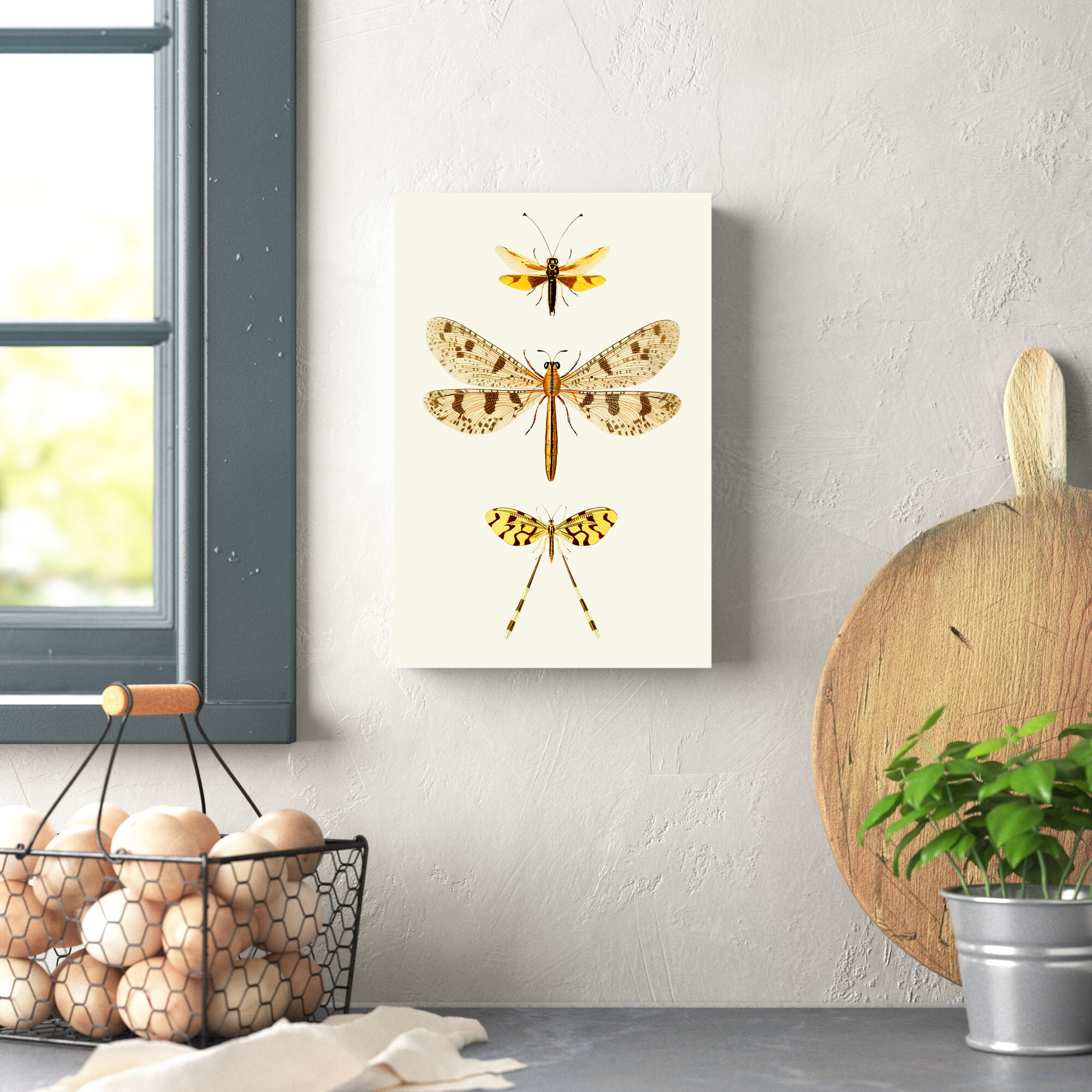 Gracie Oaks 'Entomology Series I' Painting on Canvas - Wayfair Canada