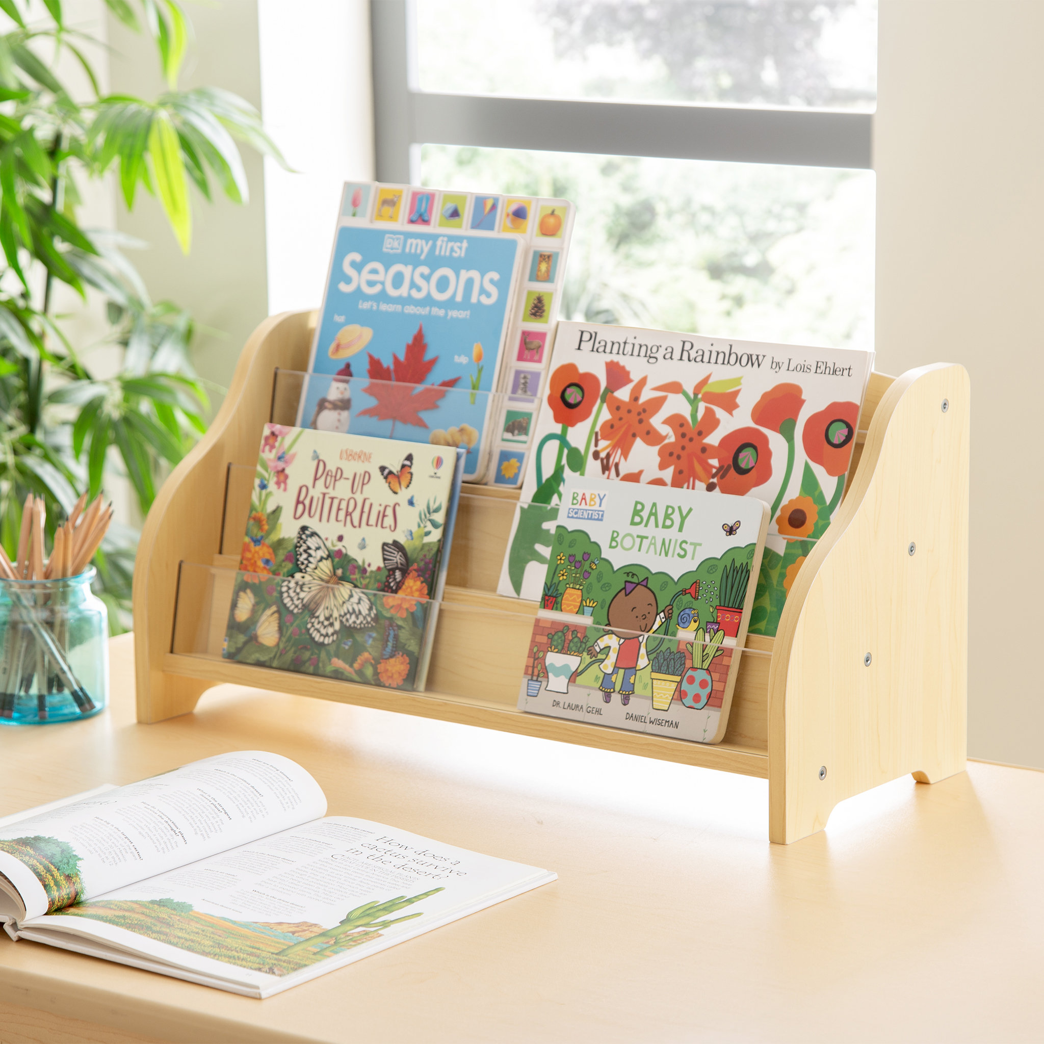 Guidecraft Book Display for Tabletop or Floor & Reviews - Wayfair Canada