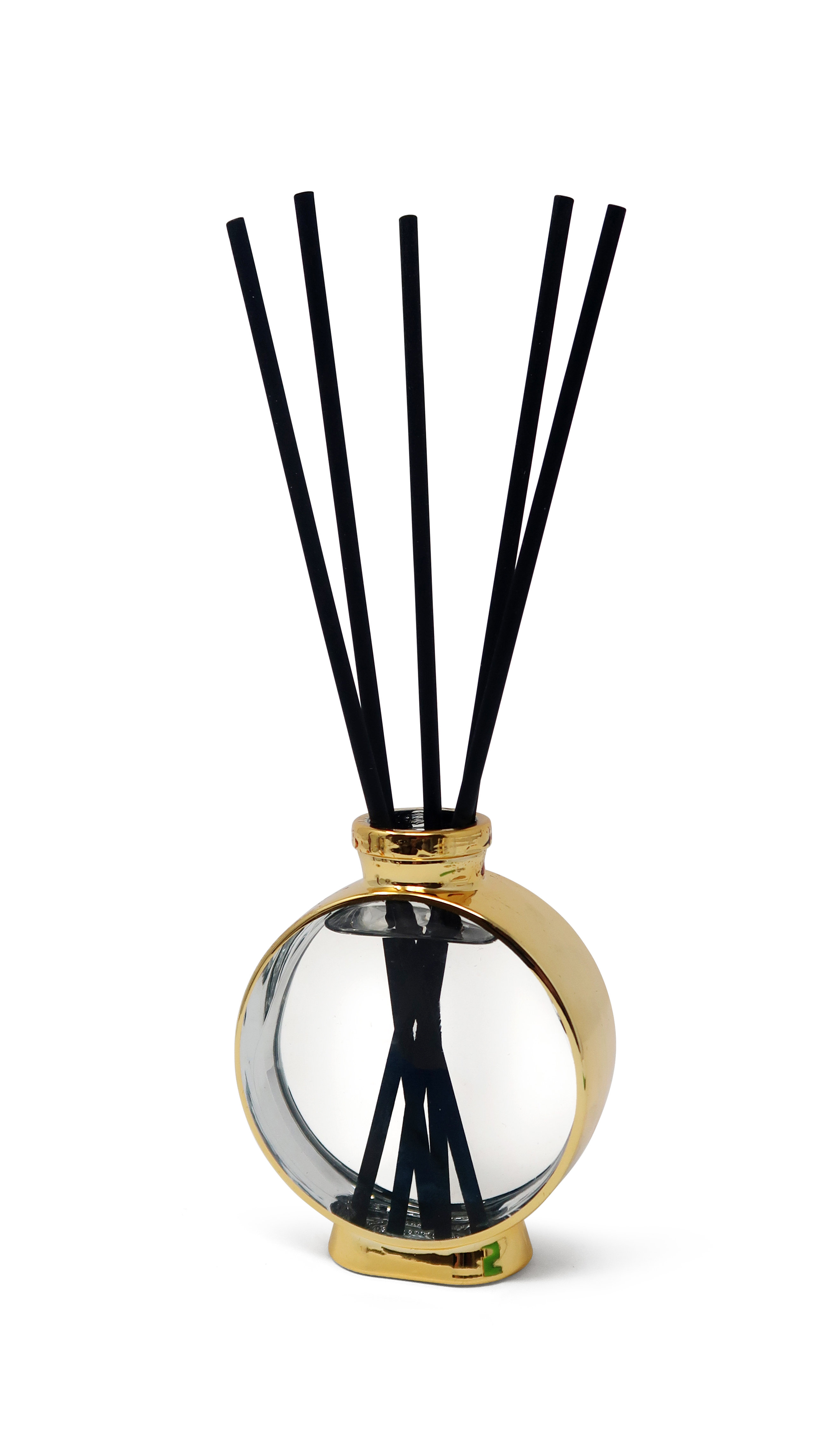 Williston Forge Josha Plant / Floral No Power Source Required / Manual ...