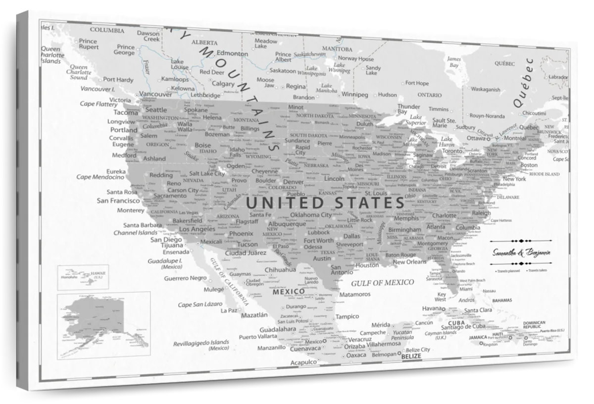 Breakwater Bay Personalized Gray Push Pin USA Map | Wayfair