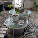 Blue Elephant Bercher Frame Coffee Table & Reviews | Wayfair.co.uk