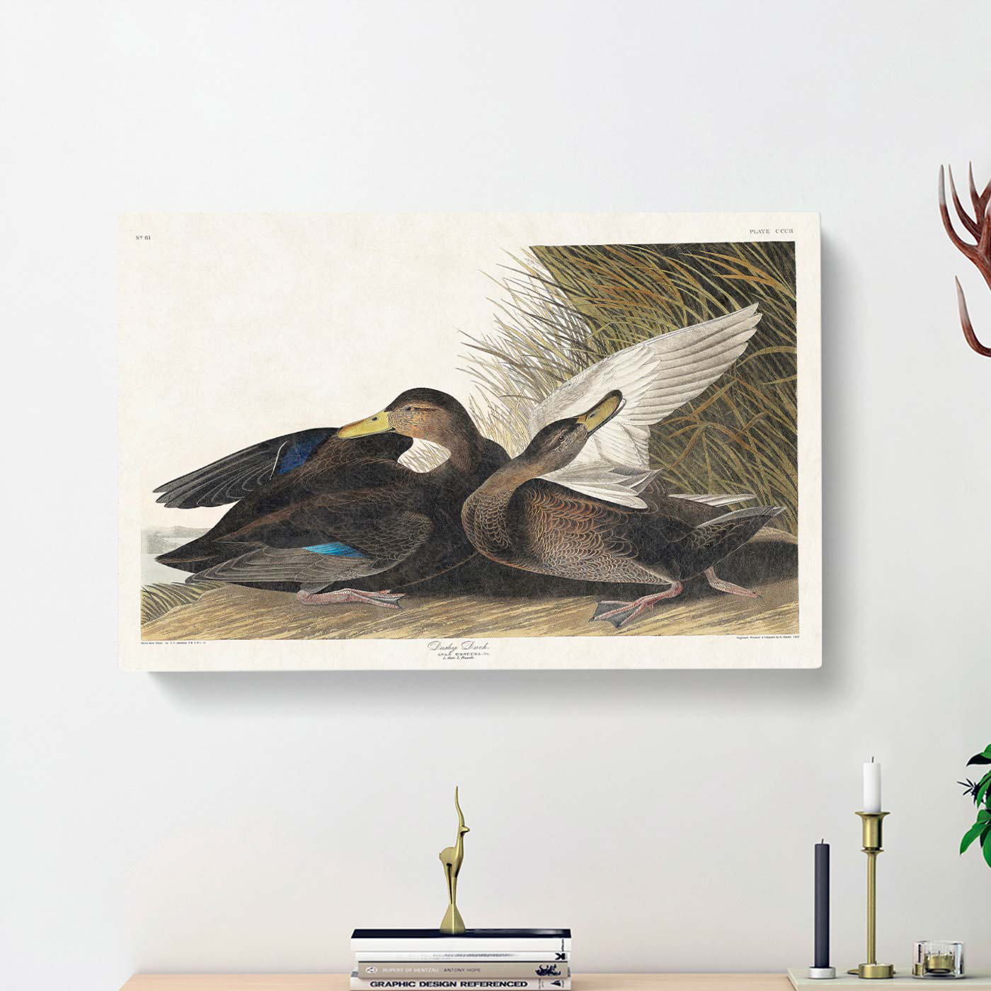 East Urban Home Dusky Duck by John Audubon - Wrapped Canvas Painting ...