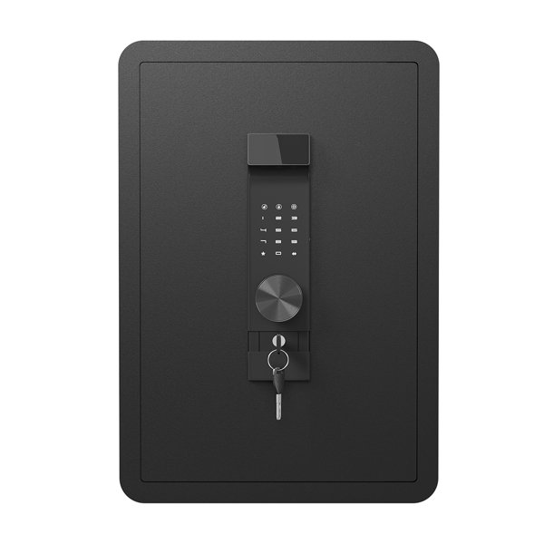 Yesurprise Security Safe Lock | Wayfair