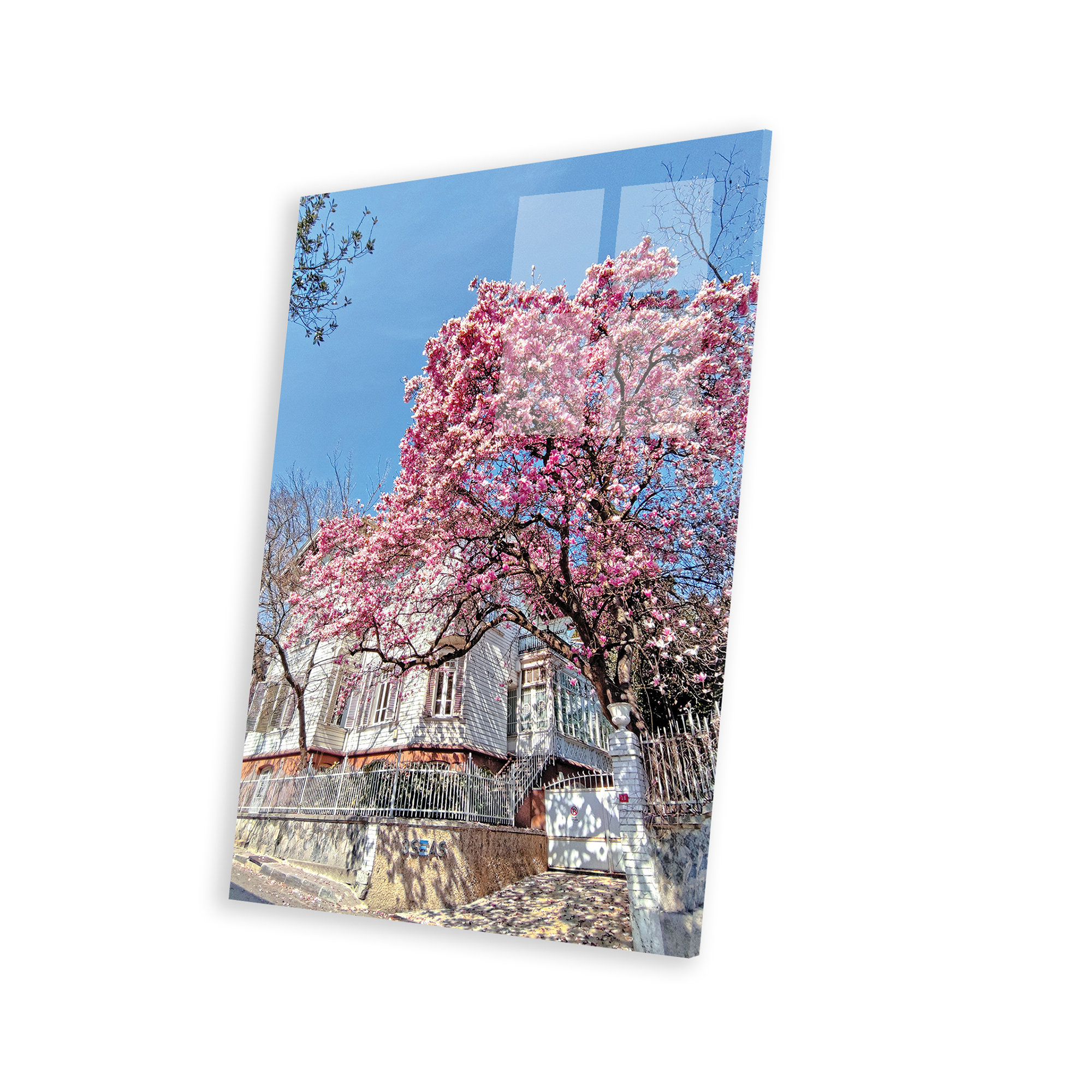 Ebern Designs Bebek Pink Flower House I Print On Acrylic Glass ...