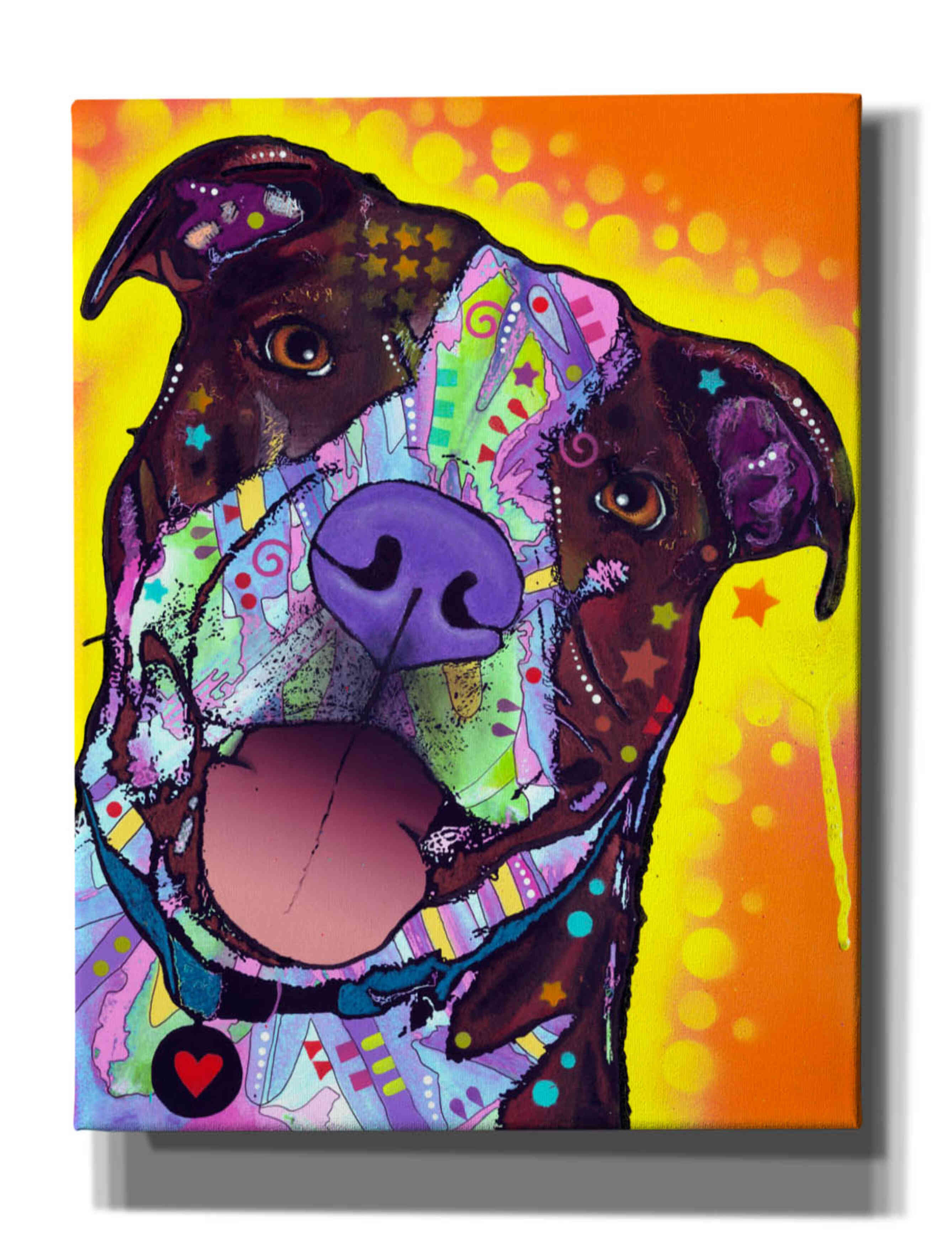 Red Barrel Studio® Daisy Pit by Dean Russo - Wrapped Canvas Painting ...