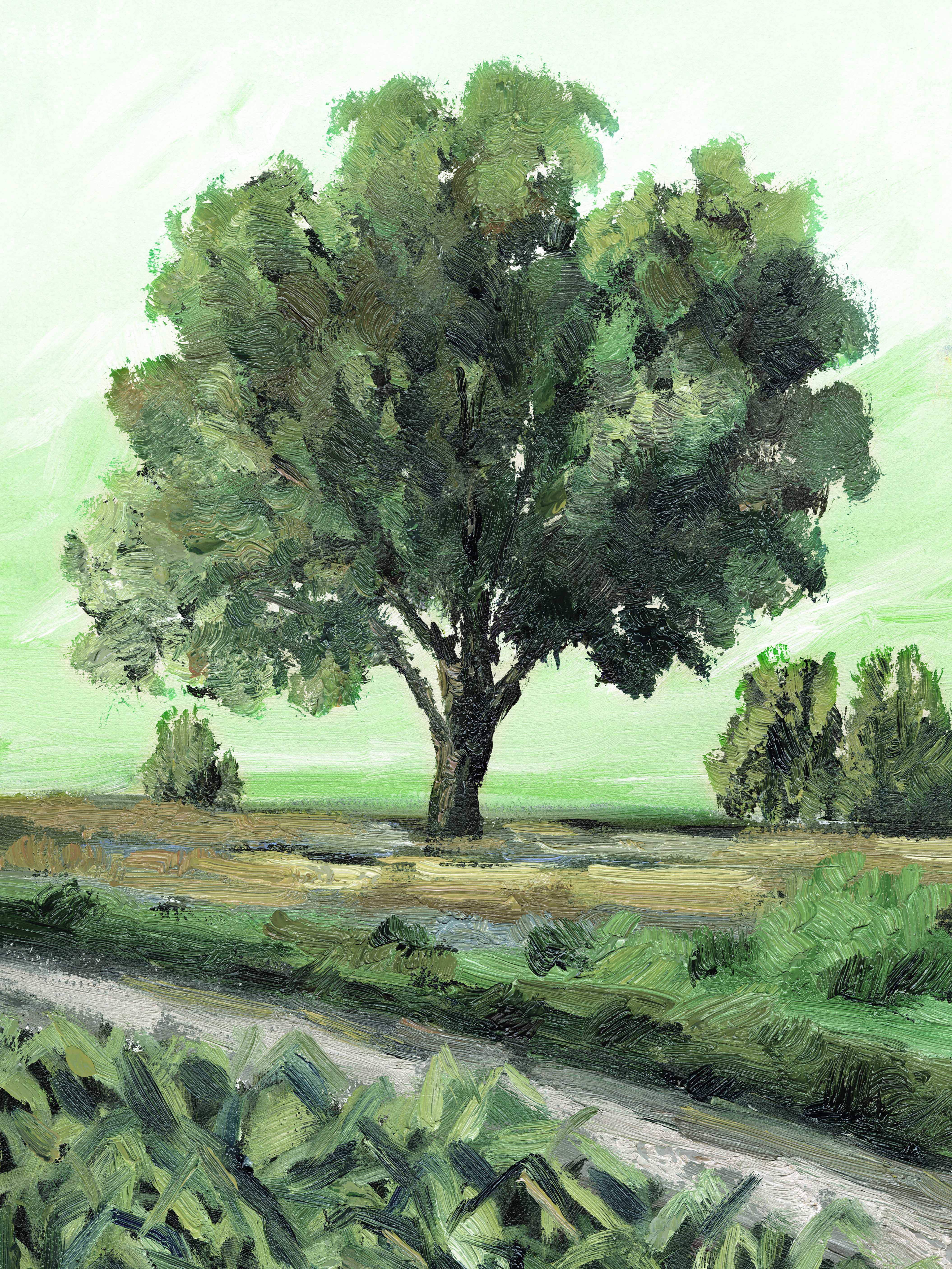 Wildon Home® Sage Tree Landscape - Wrapped Canvas Print | Wayfair