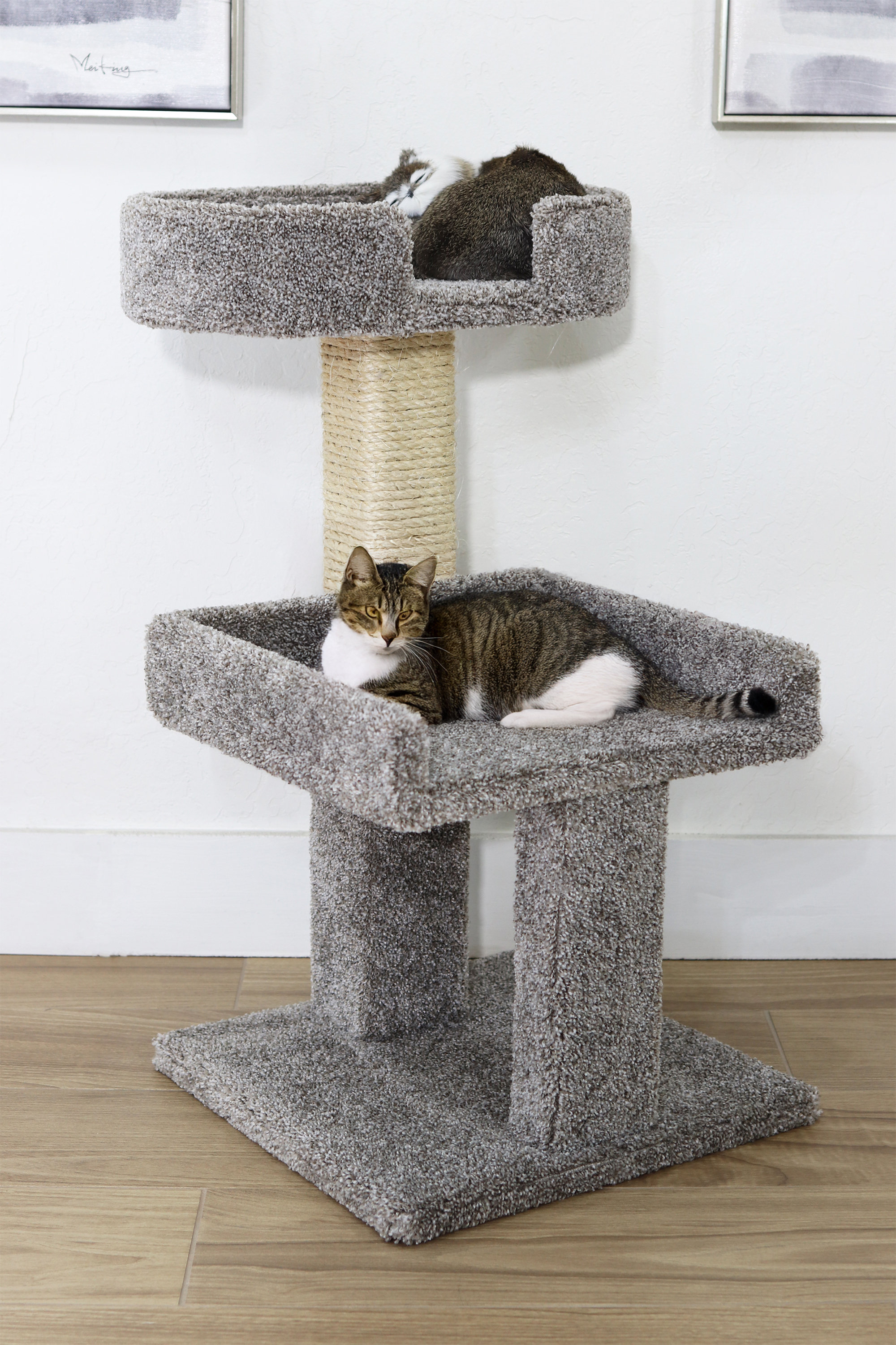 New Cat Condos Carpeted Cat Perch | Wayfair