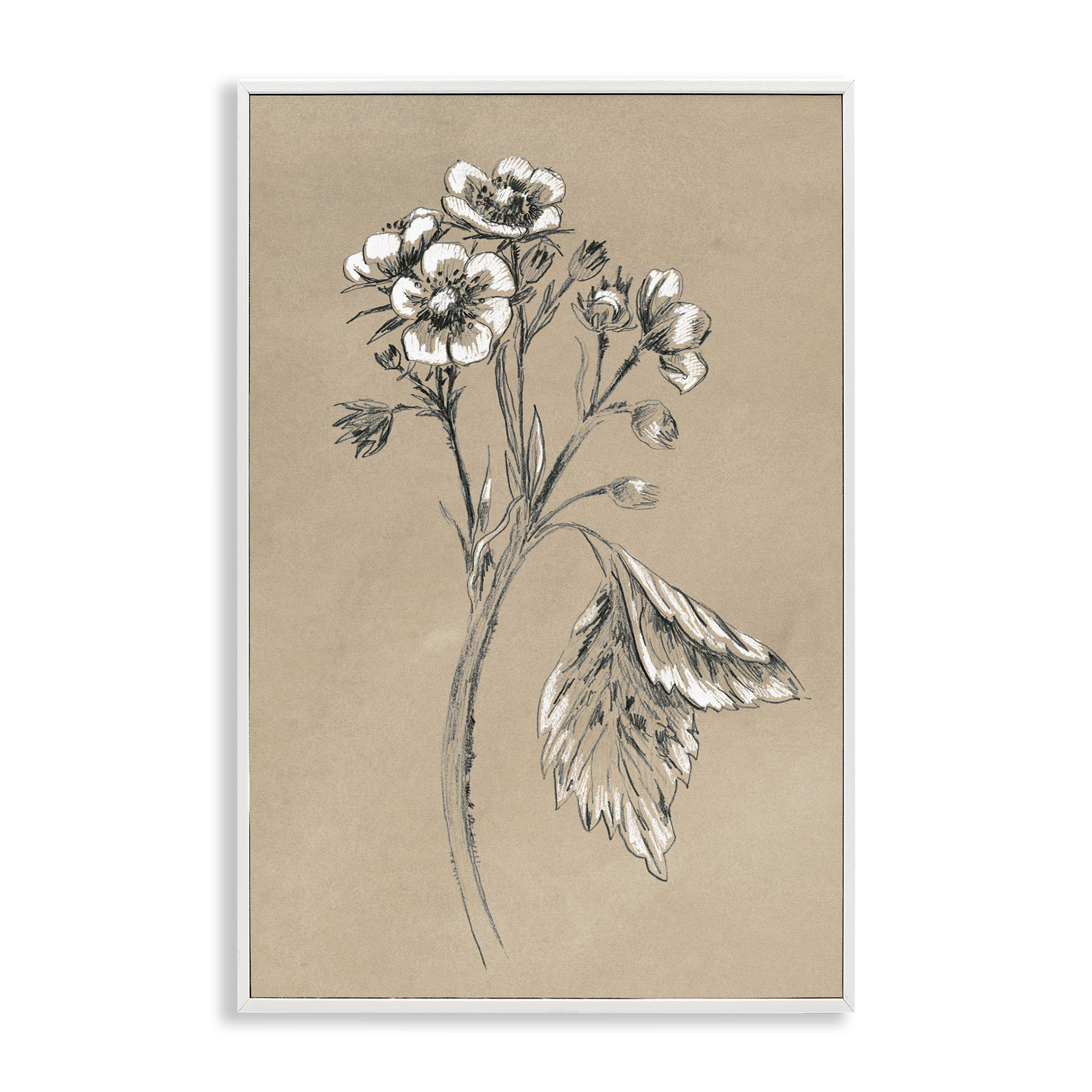 Stupell Industries Flower Sprig Sketch June Erica Vess bg-089 | Wayfair