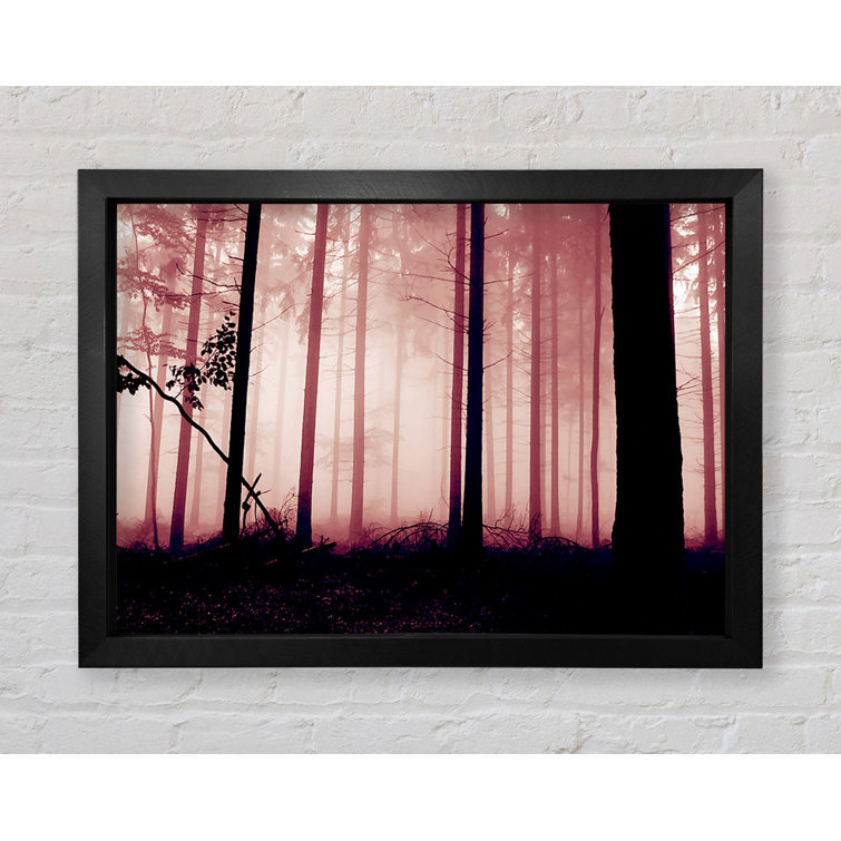 Bright Star Mauve Forest Mist - Single Picture Frame Art Prints ...