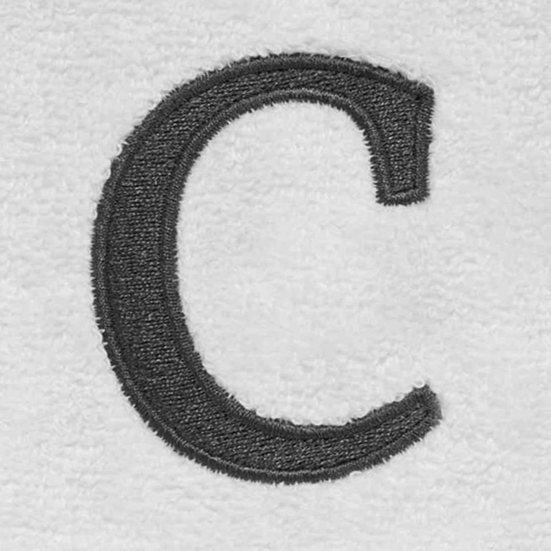 Winston Porter Yucheng Fingertip Towel | Wayfair