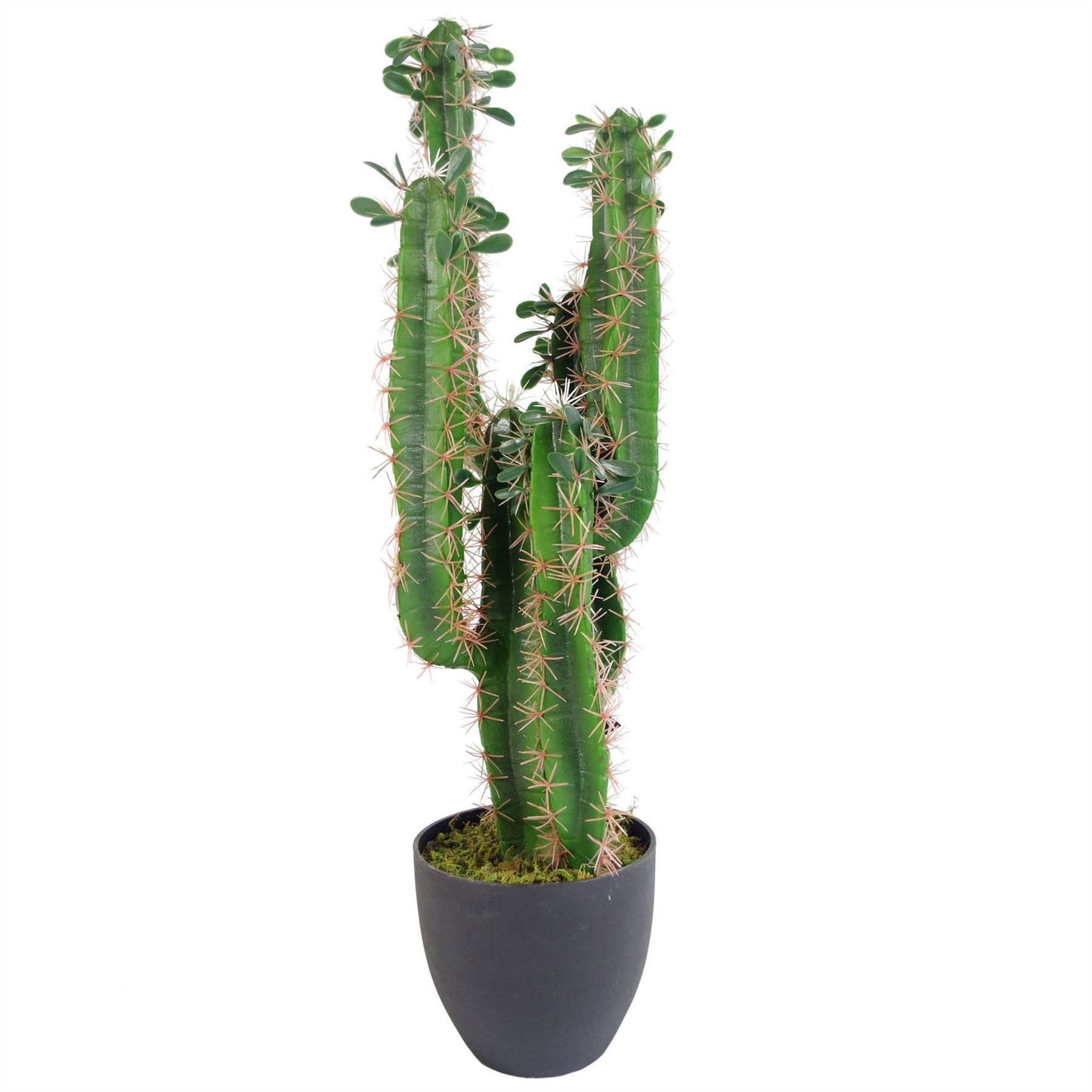 Leaf Artificial Cacti Cactus Plant 75cm Realistic Faux House Plants ...