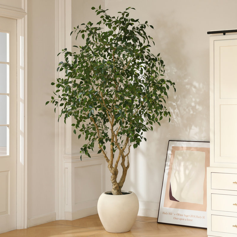 Primrue Adcock 8ft Artificial Ficus Tree with 18in White Planter, Tall ...