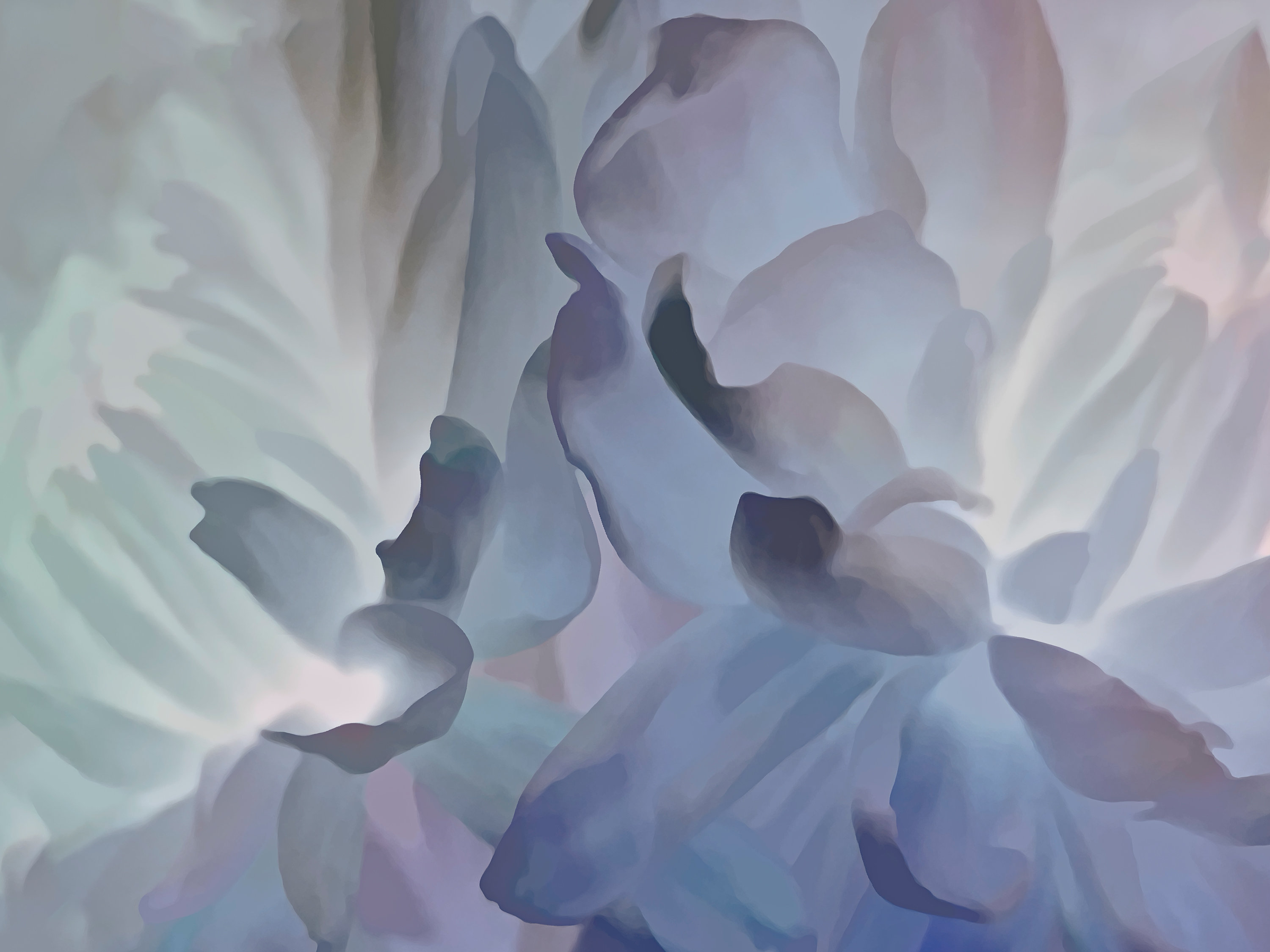 Winston Porter Meridee Chrysanthemum VI On Canvas by David Pollard ...