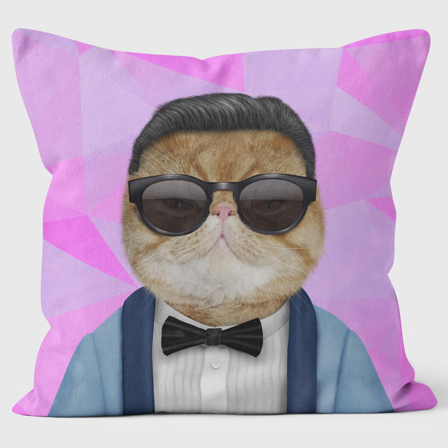 Pets Rock Korea Geometric - Pets Rock Cushion | Wayfair.co.uk