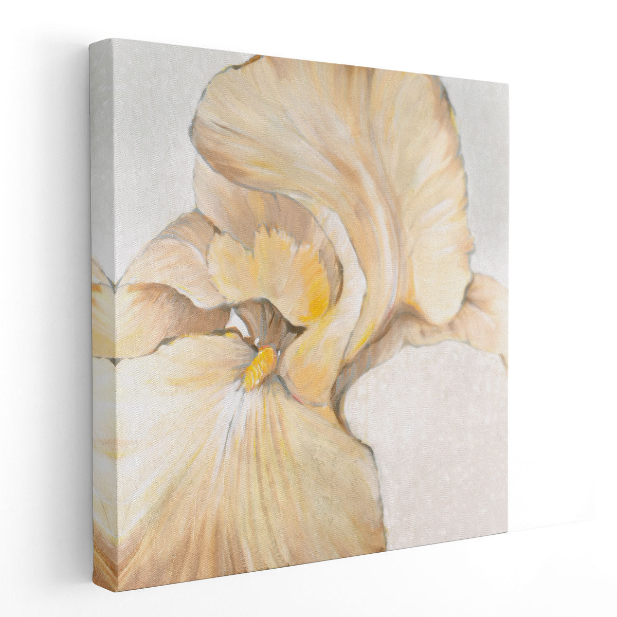 Red Barrel Studio® Iris Cream II - Canvas Print Wall Art | Wayfair