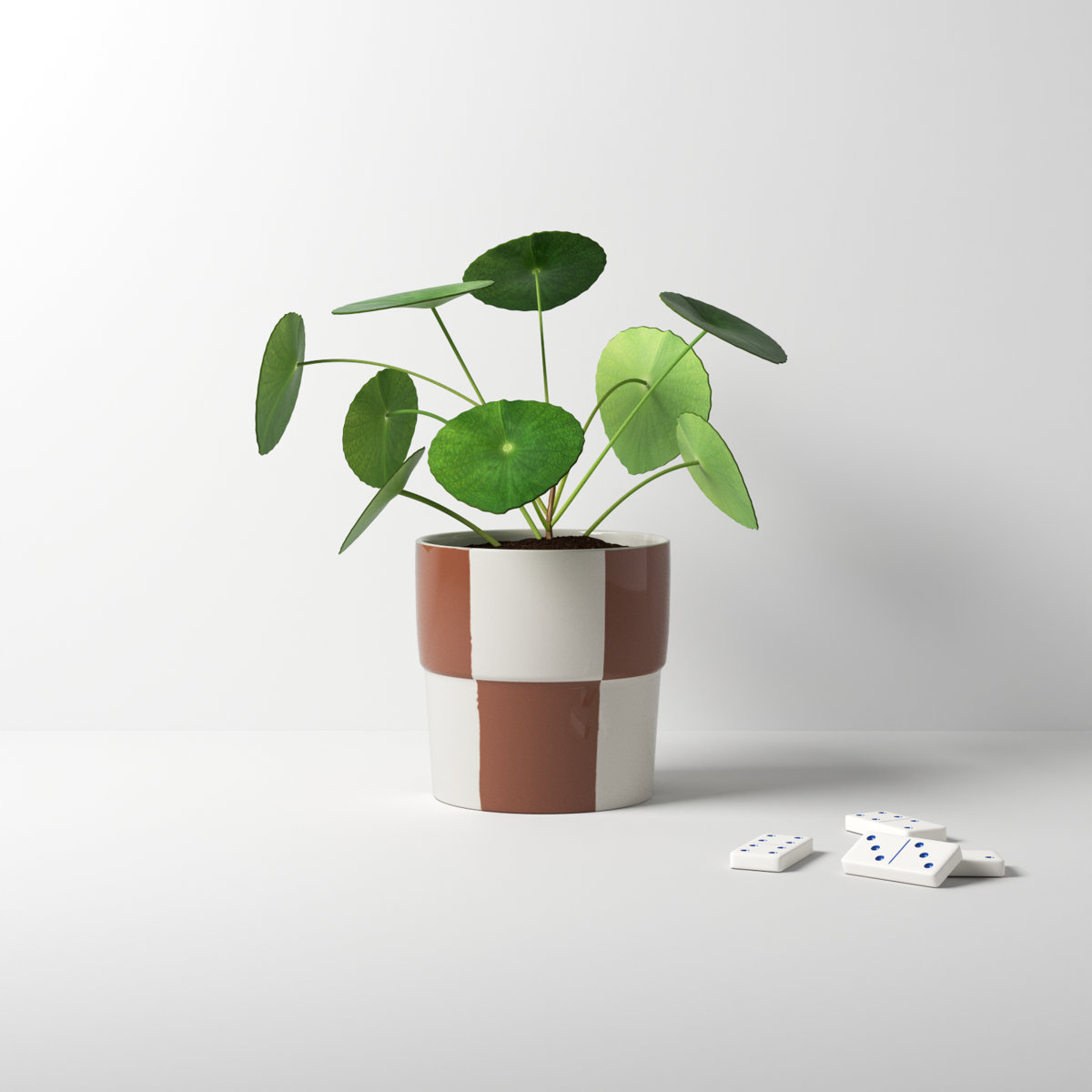 AllModern Caitlin Checkerboard Ceramic Pot Planter | Wayfair