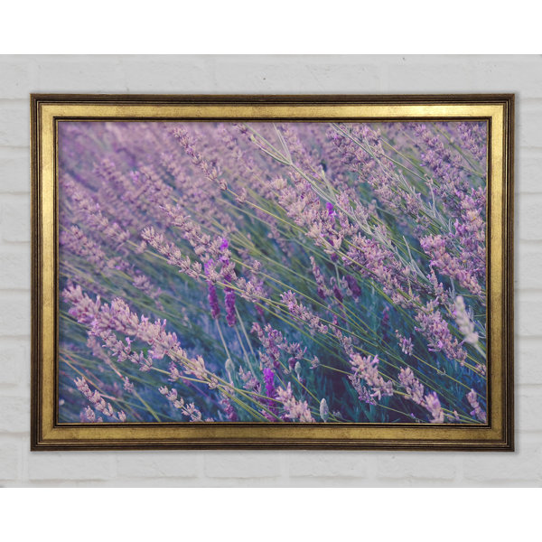 August Grove One Direction Of Delicate Flowers - Single Picture Frame ...