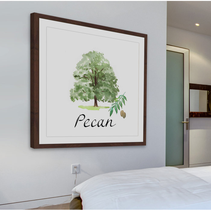 Red Barrel Studio® Pecan Tree Framed On Paper Print | Wayfair