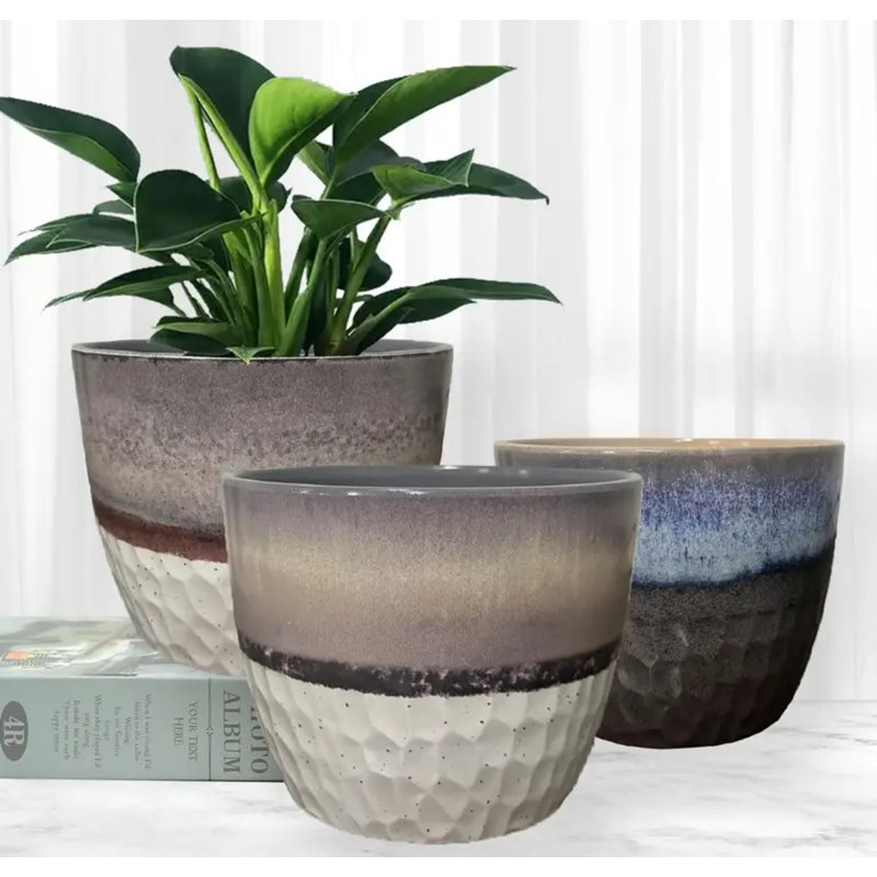 Gracie Oaks 6in Assorted Glazed Indoor/Outdoor Planter - 3pc Set | Wayfair