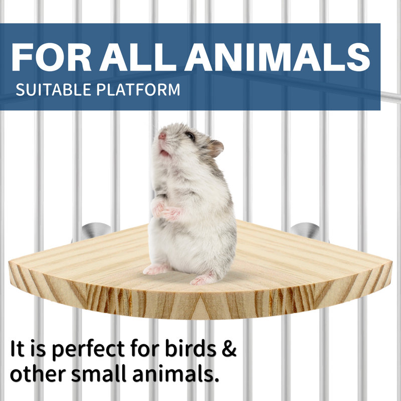 KNUTI Bird Cage Corner Perch Platform | Wayfair