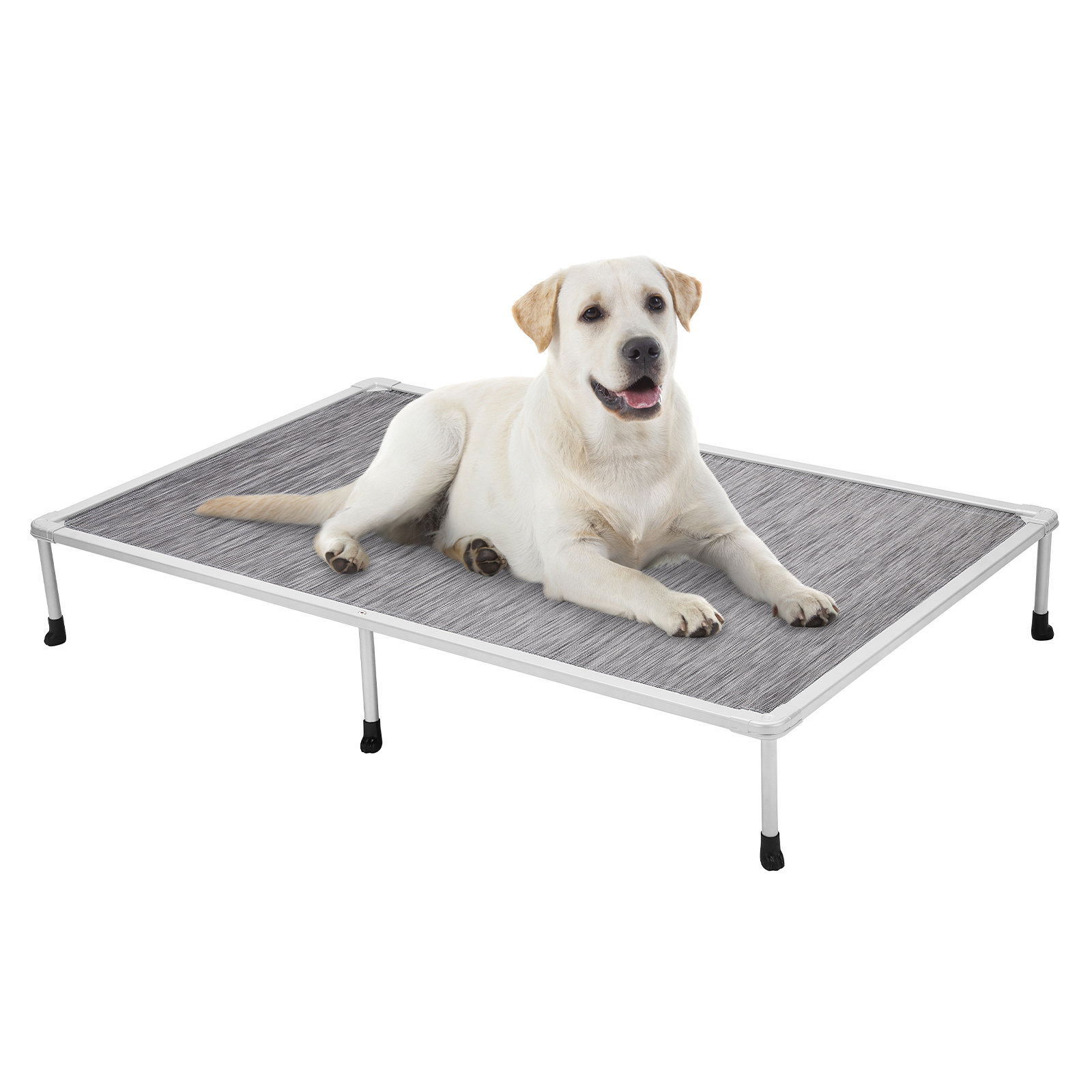 Tucker Murphy Pet™ Tucker Murphy Elevated Bed Chewproof Cooling Raised ... Tucker Murphy Pet™ Tucker Murphy Elevated Bed Chewproof Cooling Raised ...
