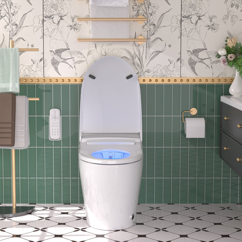 BCAN Smart Toilet with Tankless Bidet Wash, Auto Open Lid, 1.28 Gallons ...