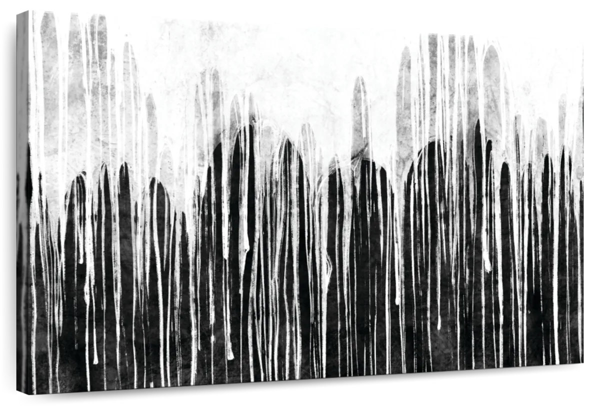 Wade Logan® Avery Black And White Paint Drip | Wayfair