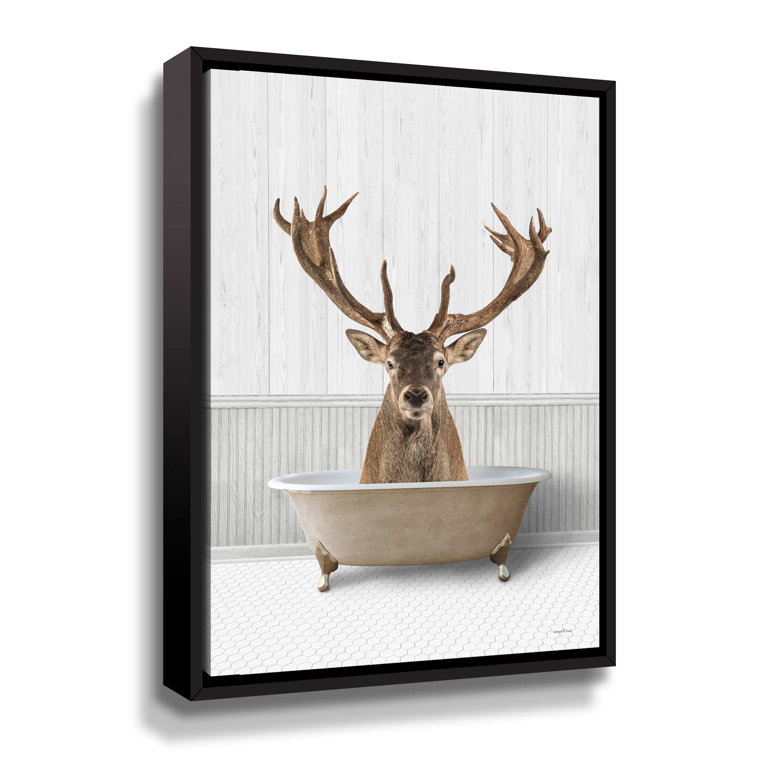 Millwood Pines "Bath Time Deer" by Lettered & Lined Fun Animal Bathroom ...