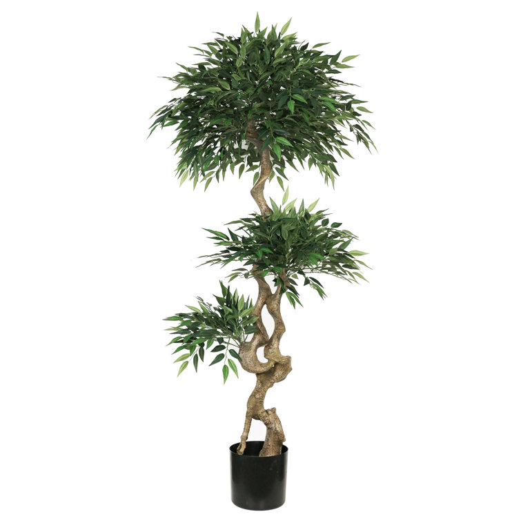 The Seasonal Aisle 155cm Faux Acacia Tree | Wayfair.co.uk