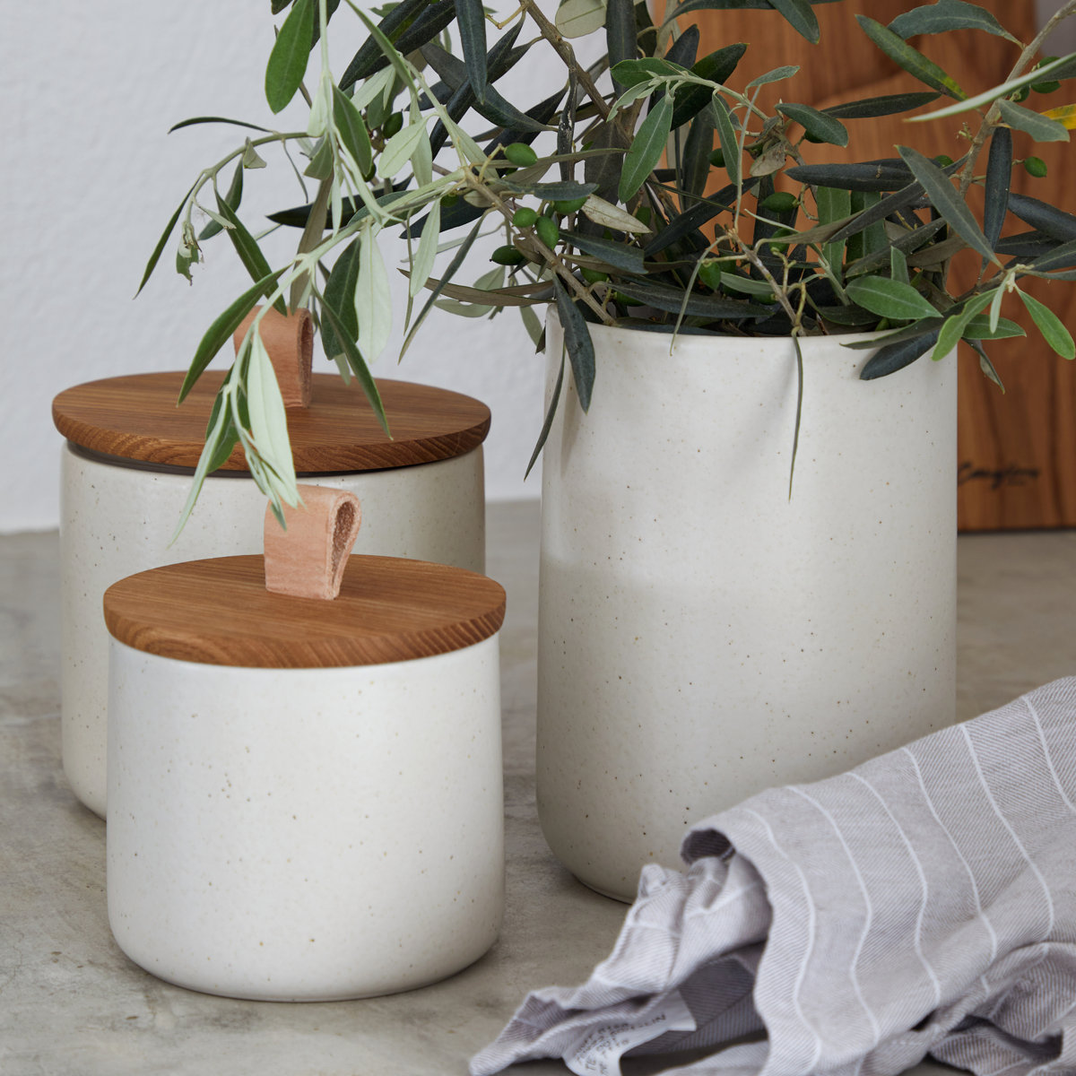Costa Nova Casafina Pacifica Kitchen Canisters & Storage Jars | Wayfair