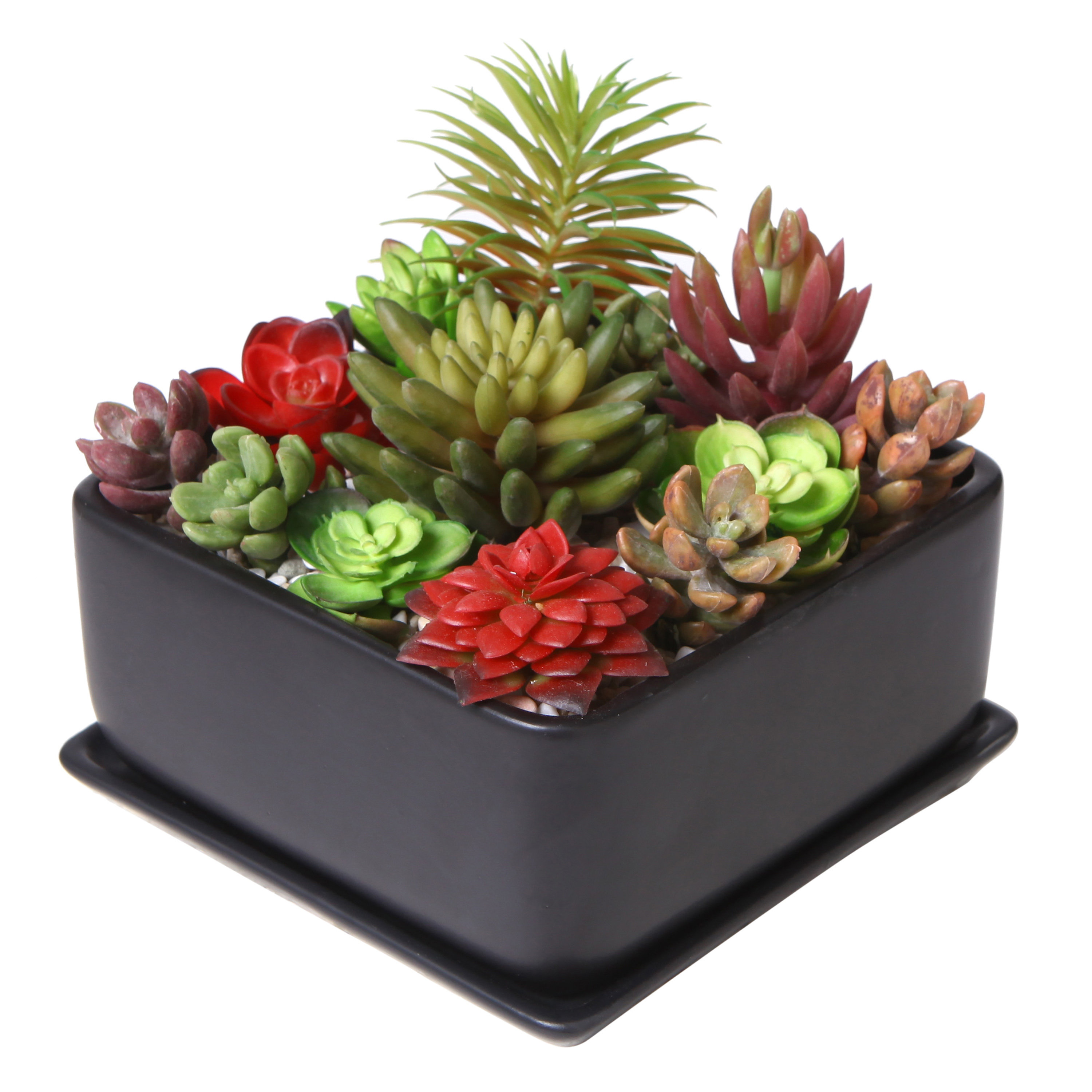 Ebern Designs Hens Indoor Square Ceramic Pot Planter | Wayfair