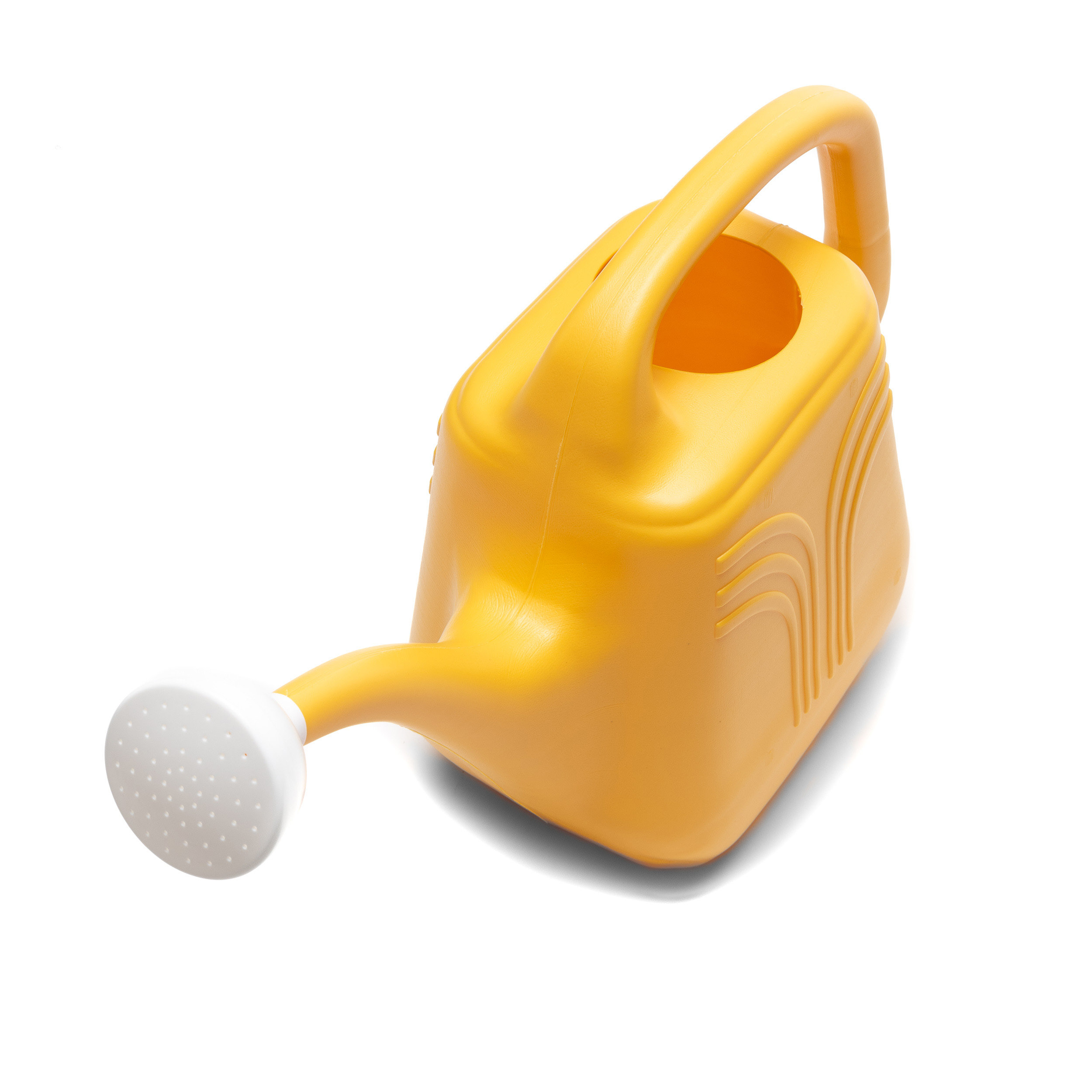 Arlmont & Co. Johannes 2 Gal. Ergonomic Plastic Watering Can & Reviews ...
