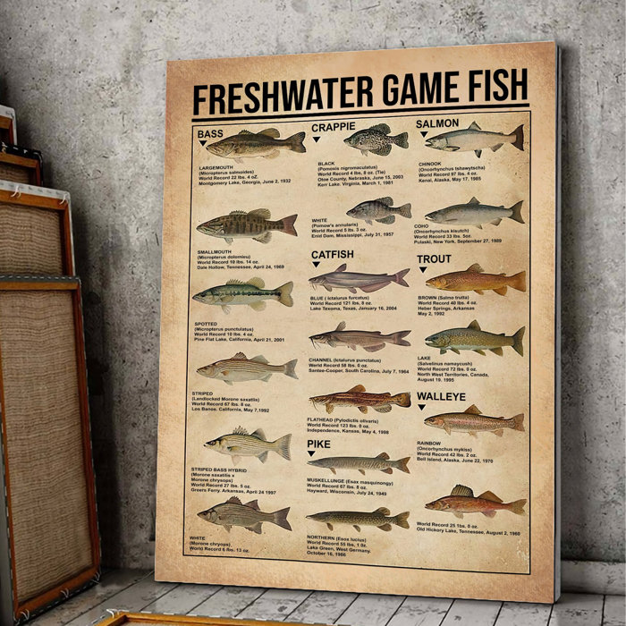 Highland Dunes Freshwater Game Fish Gallery Wrapped Canvas - Animal ...