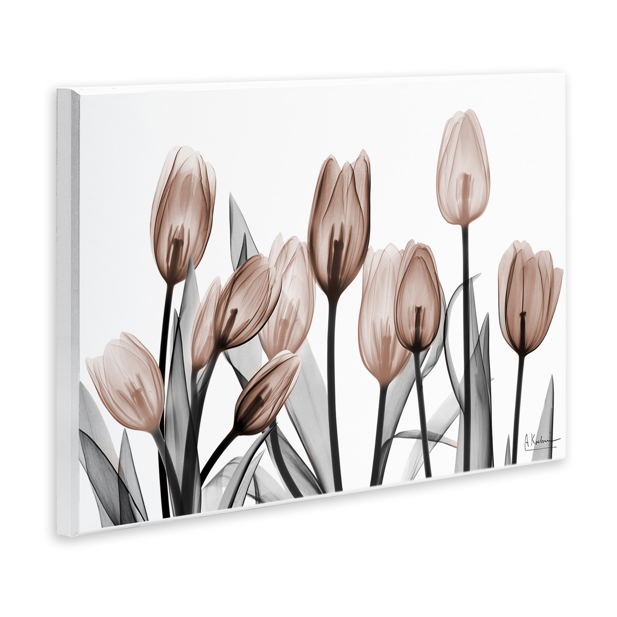 Winston Porter Dramatic Mocha Tulips Wall Plaque Art, design by Albert ...