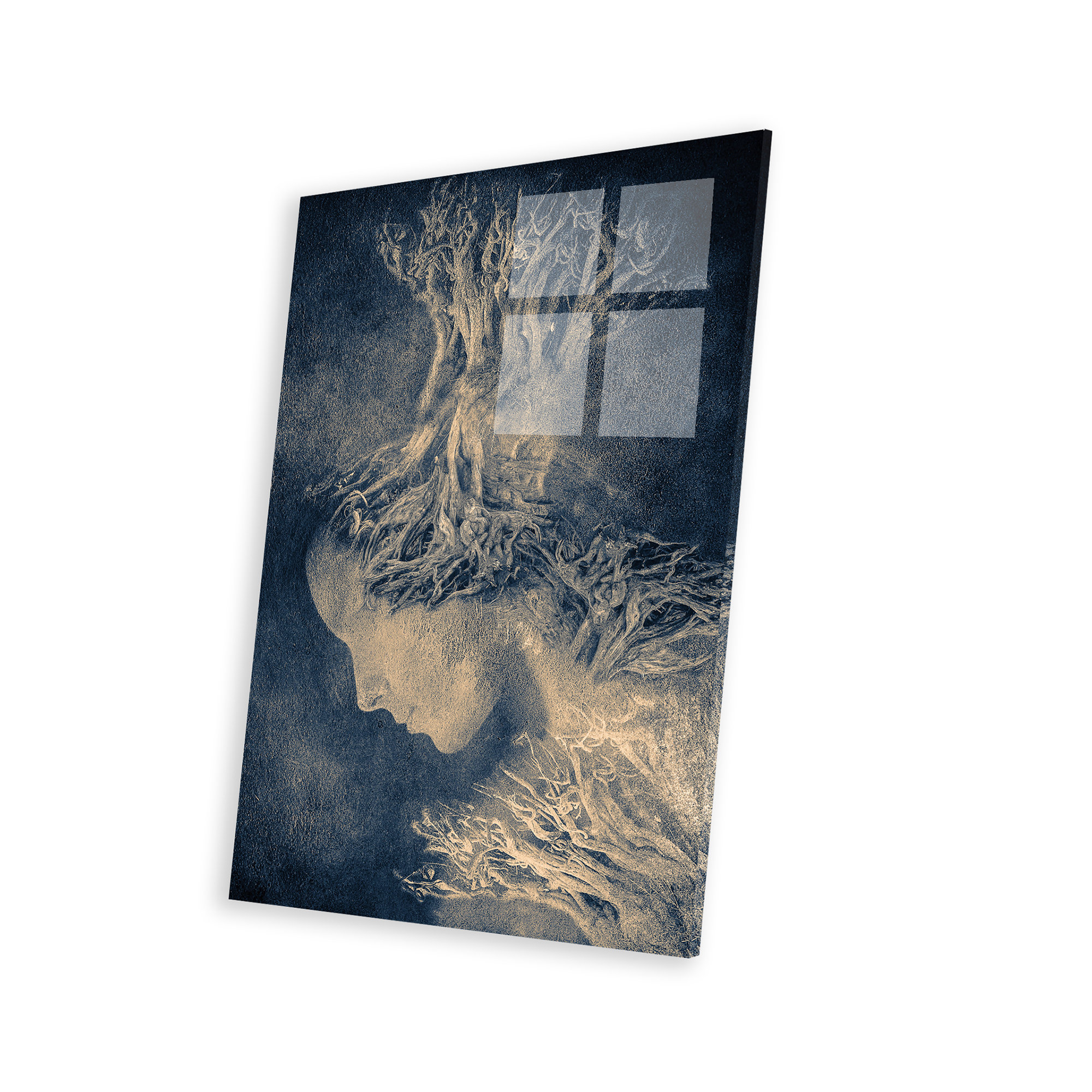 Winston Porter Dark Portrait I On Plastic / Acrylic by Viviana Gonzalez ...