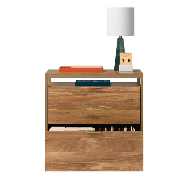 Mercury Row® Fort Hamilton 2 Drawers Lateral Filing Cabinet & Reviews ...