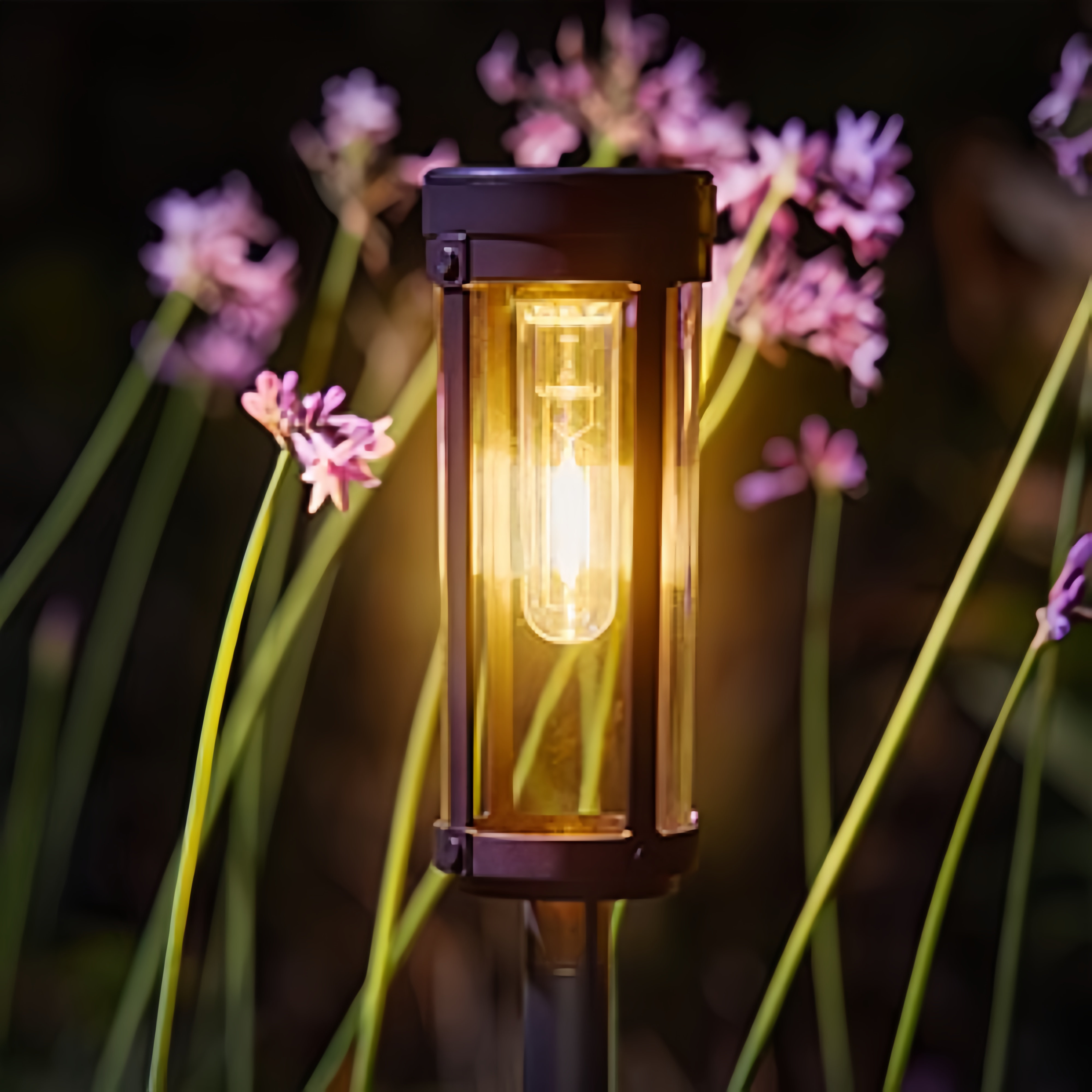 LETMY Black Low Voltage Solar Powered Integrated LED Pathway Light Pack ...